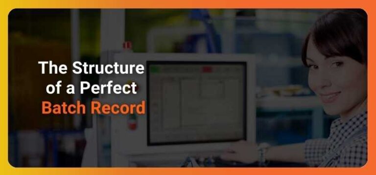 Structure of a Perfect Batch Record